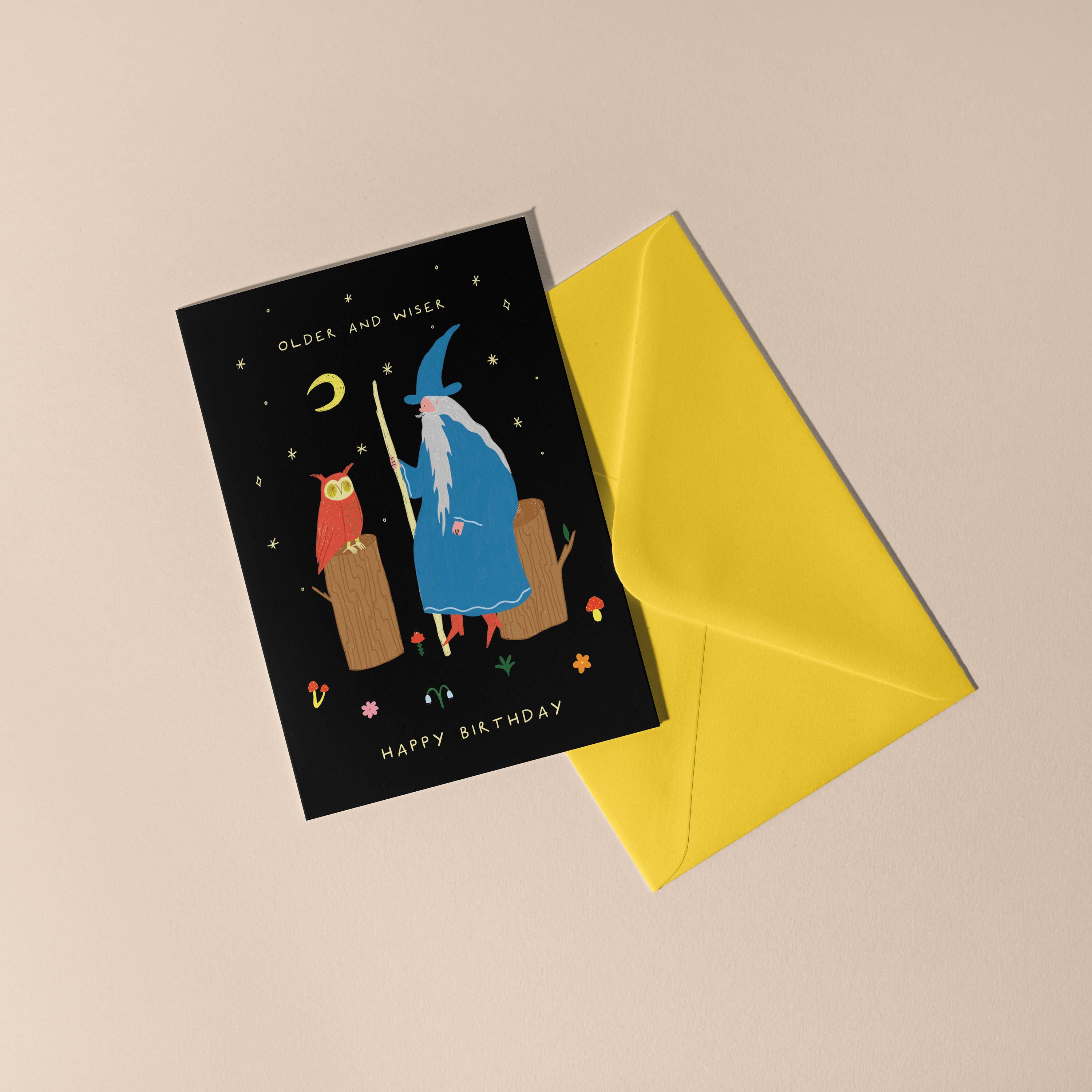 Older and Wiser Birthday Card | Wizard Card | Men's Birthday – Flock ...